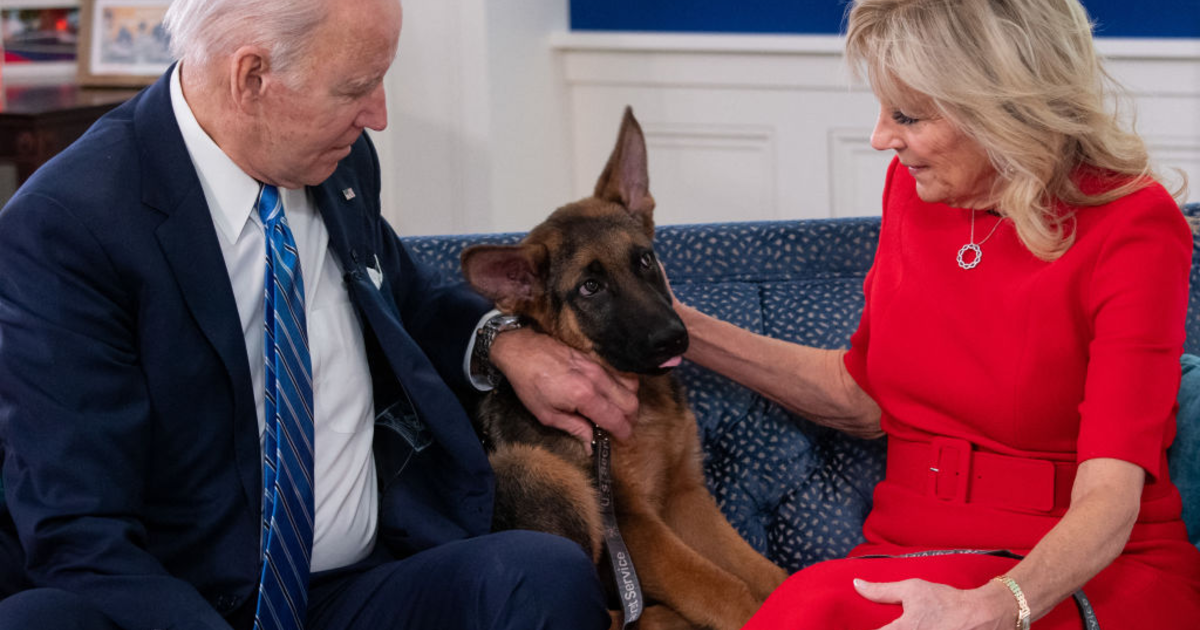 Former White House Staffer Says Biden Family Did Not Address Dog’s Bad ...