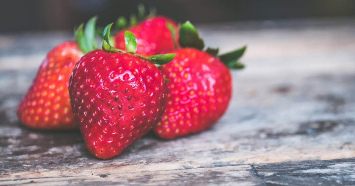 French Researchers Make Strides In Enhancing Strawberry Quality Through ...