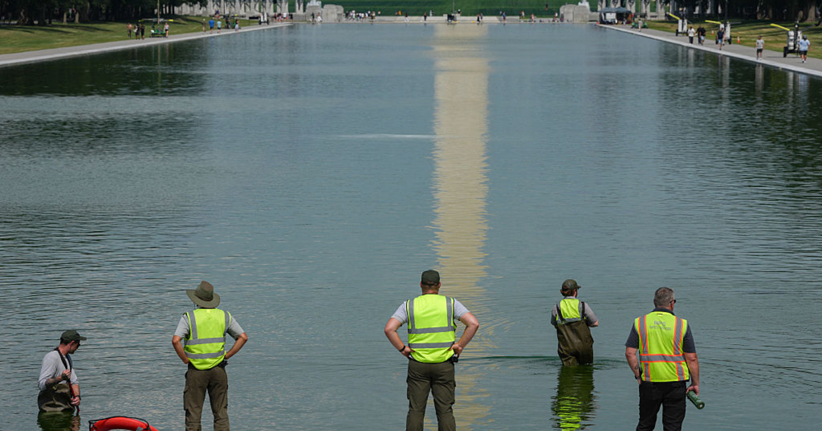 Green Algae Returns to DC Reflecting Pool — Independent Journal Review