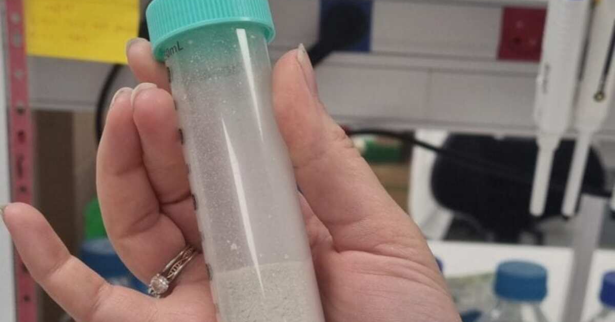 Israeli Startup Day 8 Revolutionizes Protein Extraction From Discarded ...
