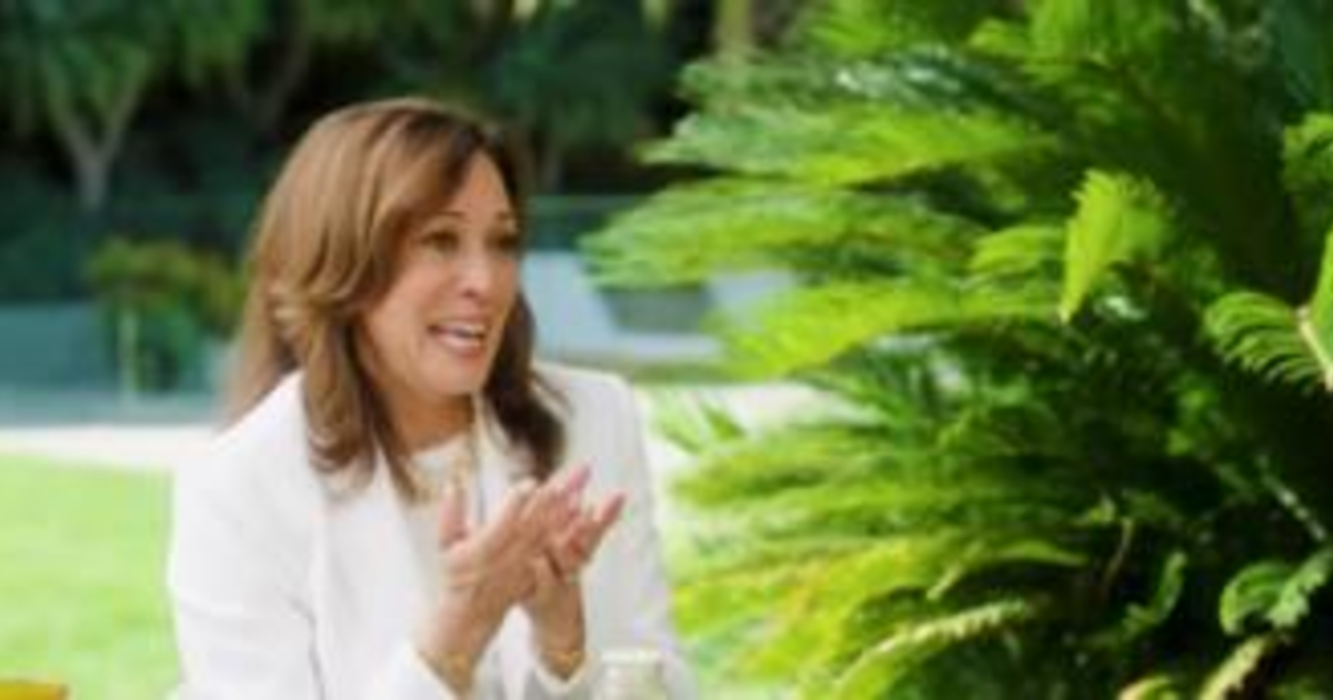 Kamala Harris Claims Her Rally Crowds Would ‘Pass’ Babies Around In ...