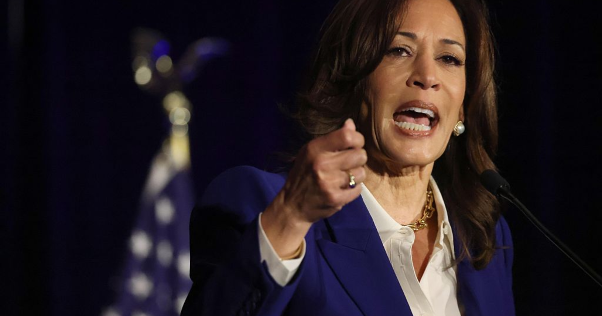 Kamala Harris: The Democrats’ Dilemma in 2028 — Independent Journal Review