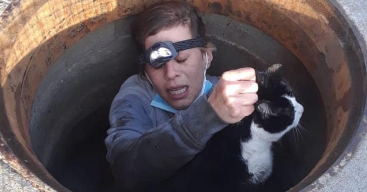 Local Hero Rescues Cat Trapped in Storm Drain, Does What Fire ...