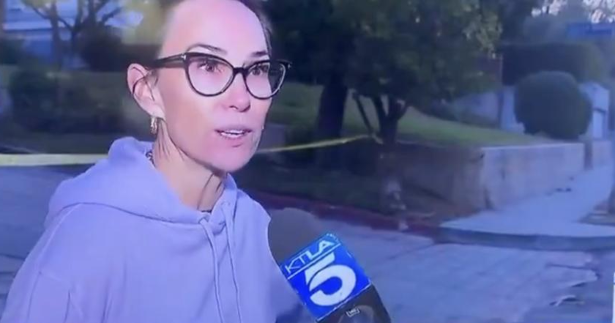 Looters On Scooters Attempted To Ransack Evacuated LA Homes As ...