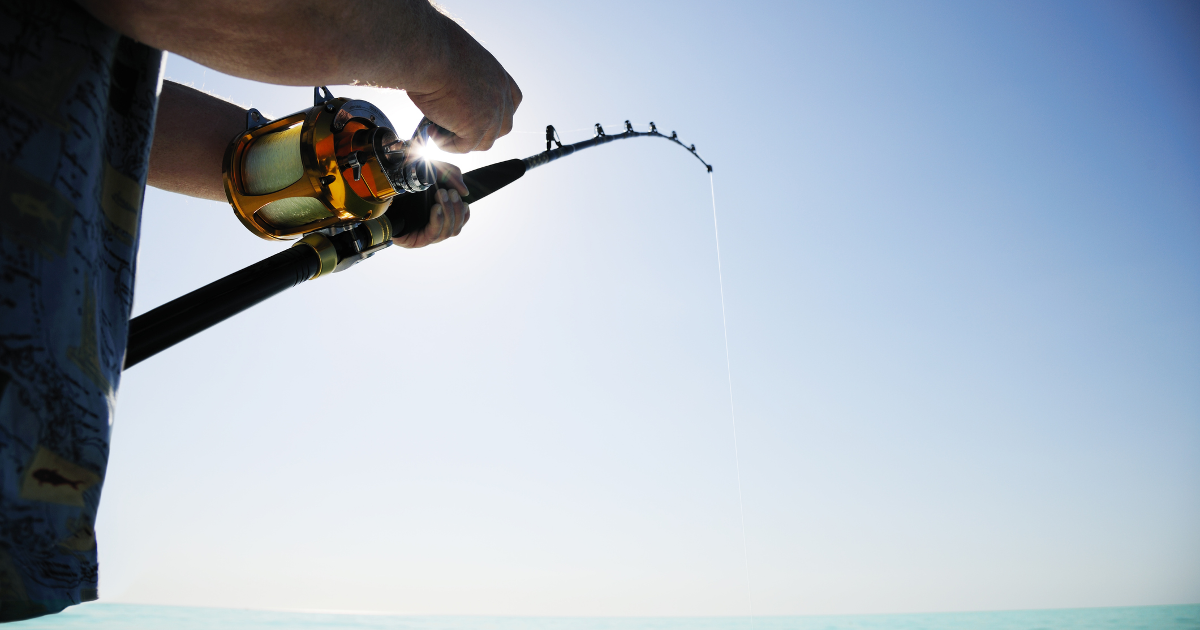 Man Catches Shark and Bludgeons It with a Hammer – Now He’s Facing ...