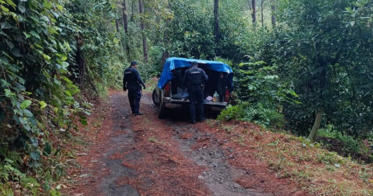 Mexican Mayor Exposes Cartel Training Camp with Colombian Terrorists ...