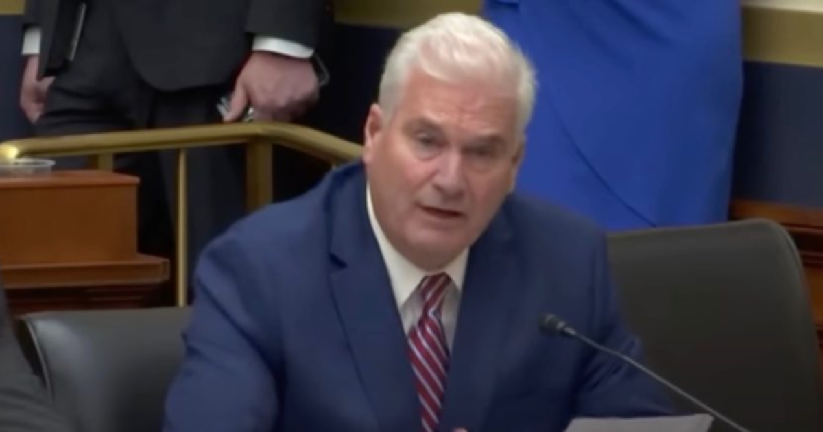 Minnesotans Begged GOP Rep To Stop The Somalis Over A Decade Ago — He ...