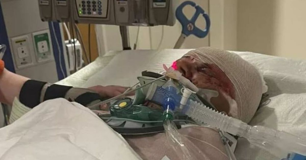 Mother of Three Clinging to Life After Nearly Being Mauled to Death by ...