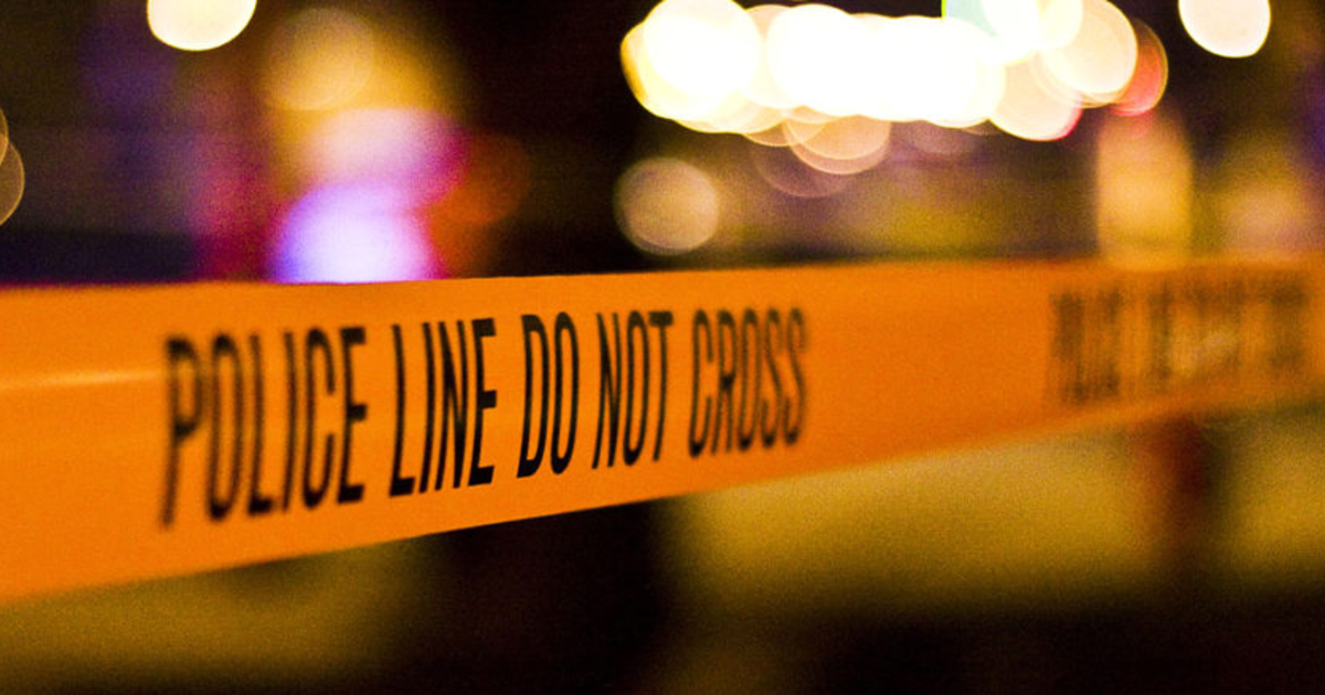 Police Begged Progressive Prosecutor To Put Criminal Illegal Behind ...