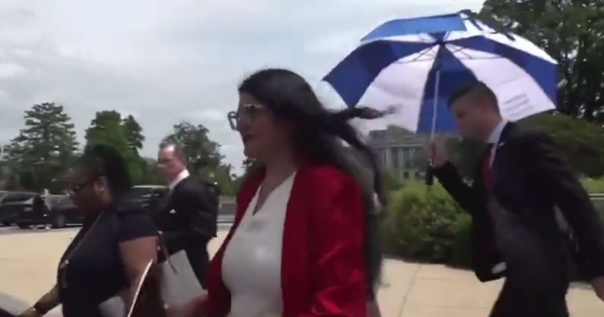 Rashida Tlaib Staffer Accused of Assaulting Fox News Cameraman During ...