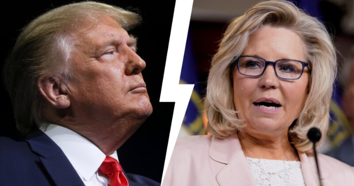 Trump To Meet With Ex-Cheney Ally As He Sizes Up Potential Primary ...