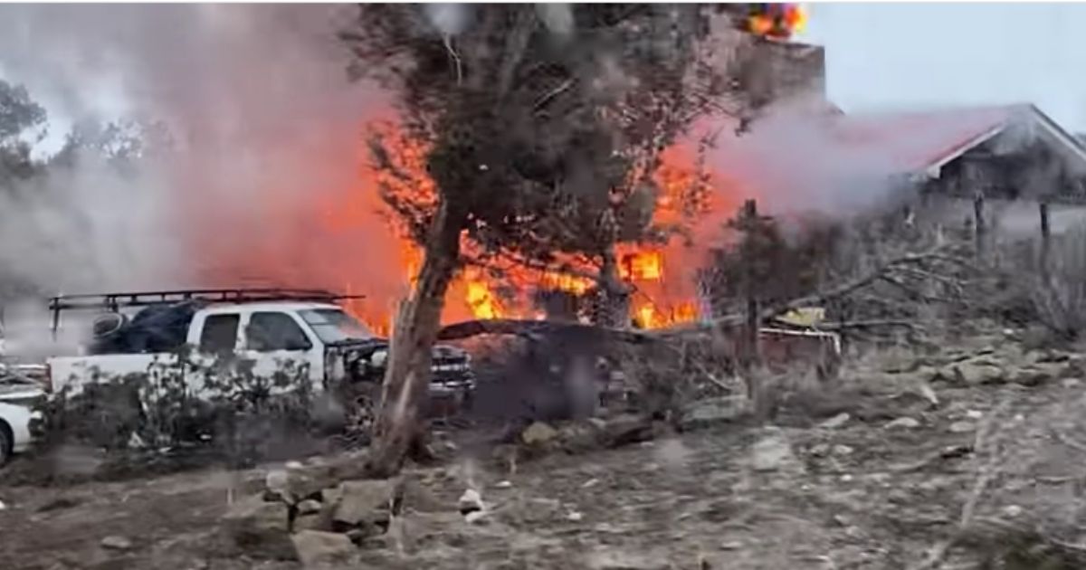 Unbelievable Photos: Firefighters Rescue Two Dogs, Cat as Fire Destroys ...