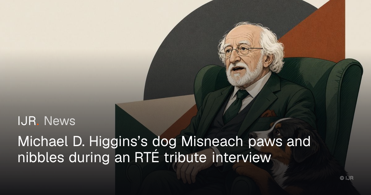 Michael D. Higgins’s dog Misneach paws and nibbles during an RTÉ ...