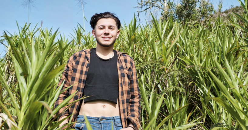 New York Times Scorched for Piece on Men Wearing Crop Tops