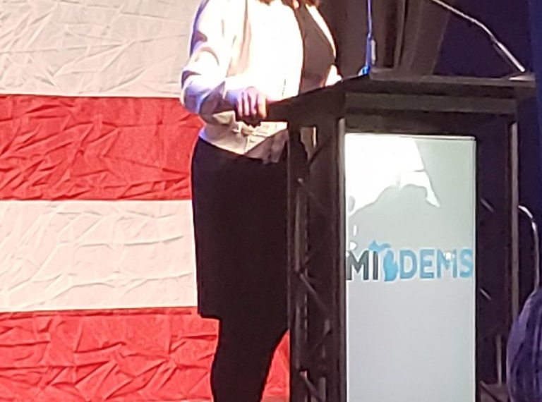 Rep. Haley Stevens Enters Michigan Senate Race, Setting Up Battle ...